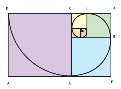 LA RAZÓN Y LA PROPORCIÓN: El rectángulo áureo y la espiral de Durero