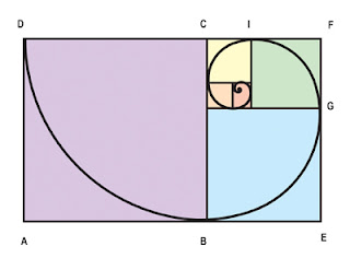 LA RAZÓN Y LA PROPORCIÓN: El rectángulo áureo y la espiral de Durero