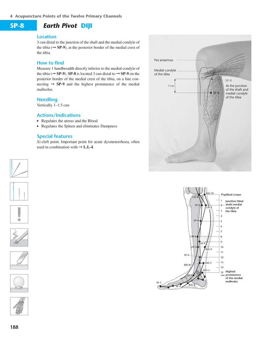 Acupuncture Masters: Acupuncture Points Database - Spleen channel