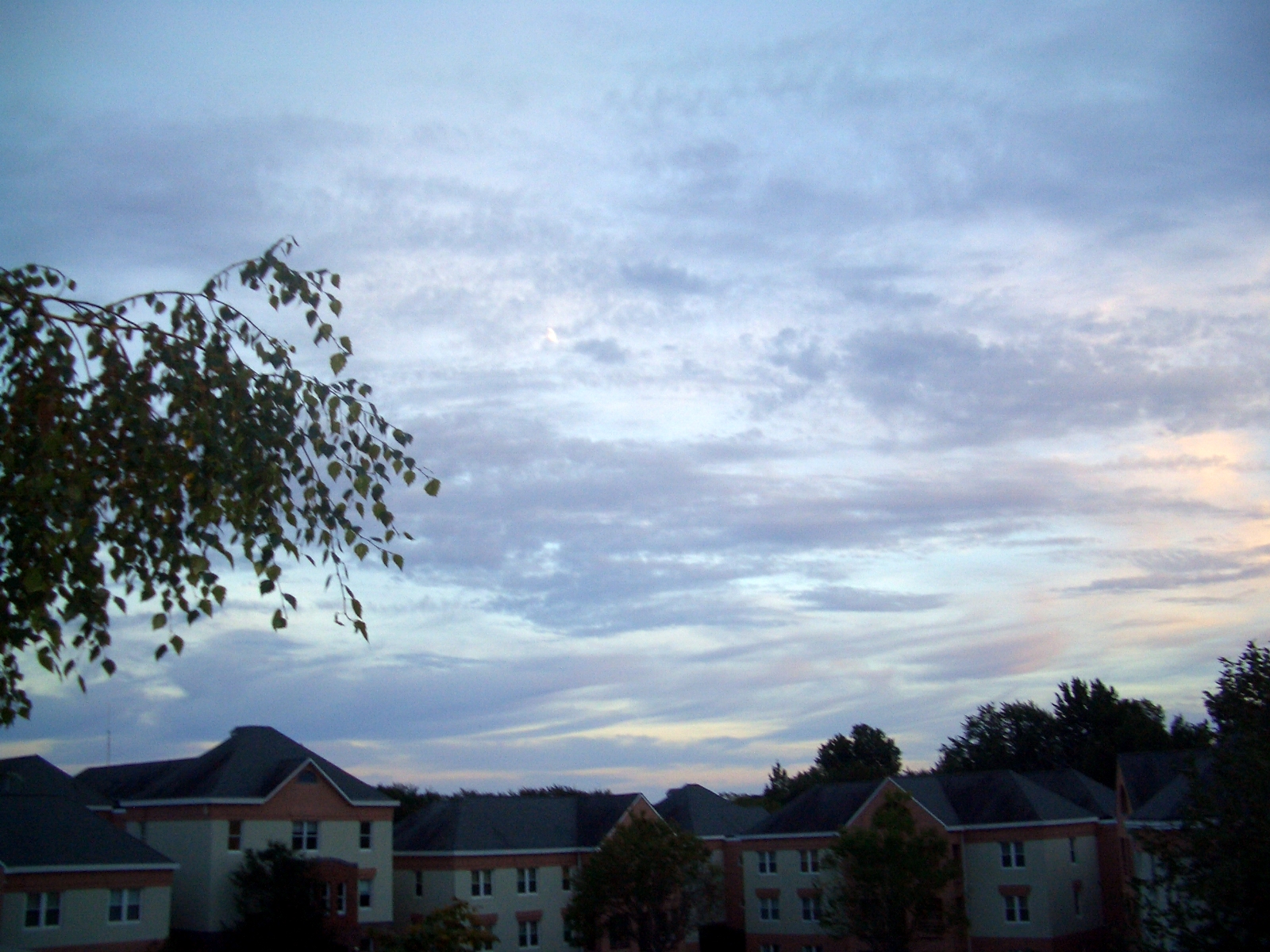 Vineyard Views: Early Evening September Sky