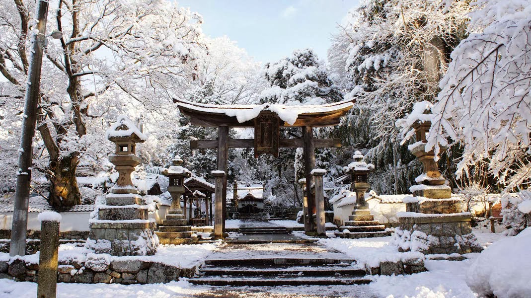 Musim Dingin di Jepang (Winter) | All About Japan