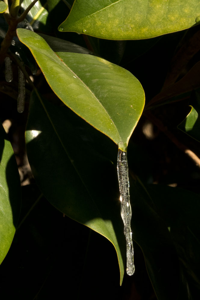 Downtown on business | My Daily Photo Walk | fredericknewspost.com