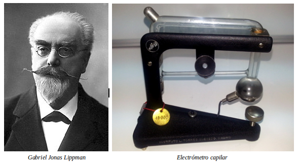 El Blog de Isa y Juan: Historia del descubrimiento del electrocardiógrafo