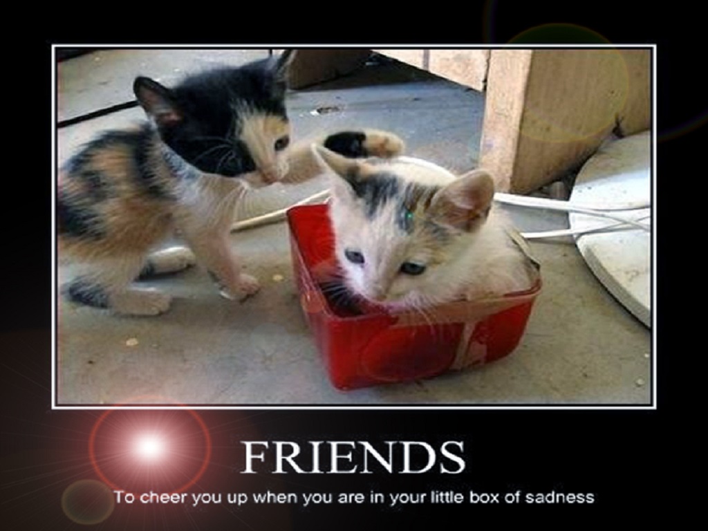 Funny Friendship Day Cards