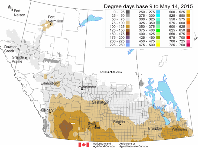 Prairie Pest Monitoring Network Blog: Predicted Alfalfa Weevil ...