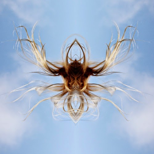 sjl photography: Tree Reflections Tracey Griffin Mirroring in nature to ...