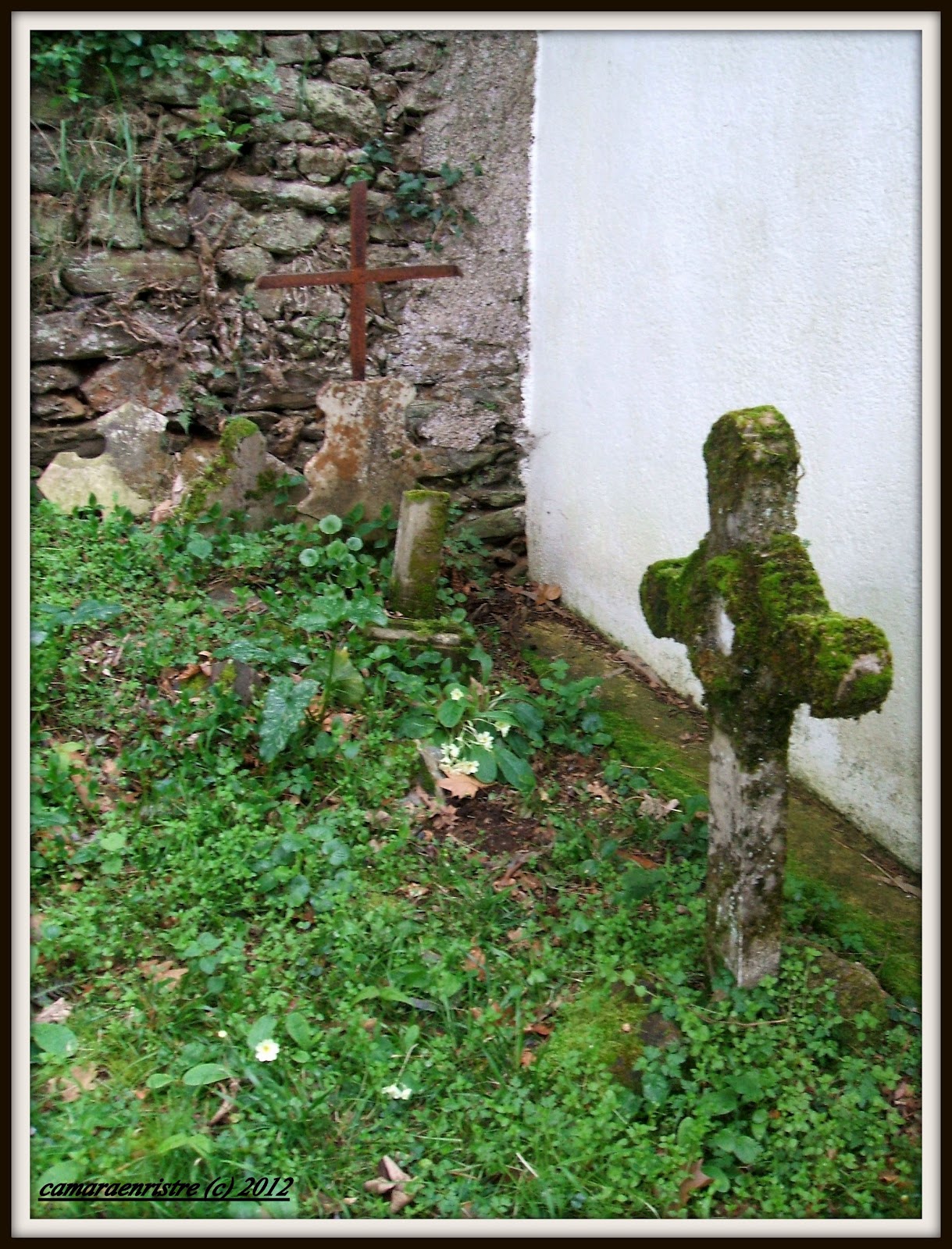 Cámara en ristre: Santa Eulalia de Lians