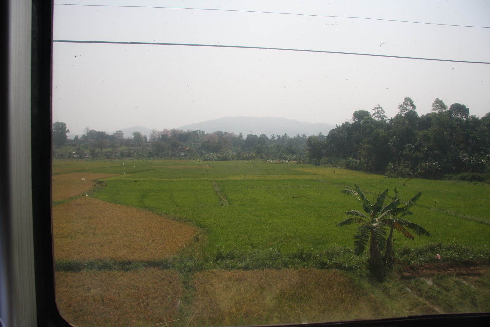 Court Jester: Colombo to Haputale by Rail