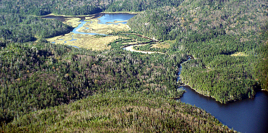 Views from the White Mountains of New Hampshire: Mount Colden (#43 ...
