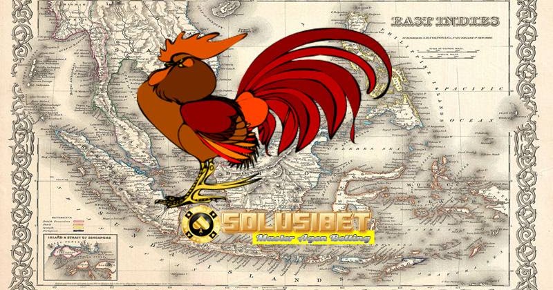 Sejarah Sabung Ayam Menggunakan Pisau Taji - Panduan Cara Main Sbobet