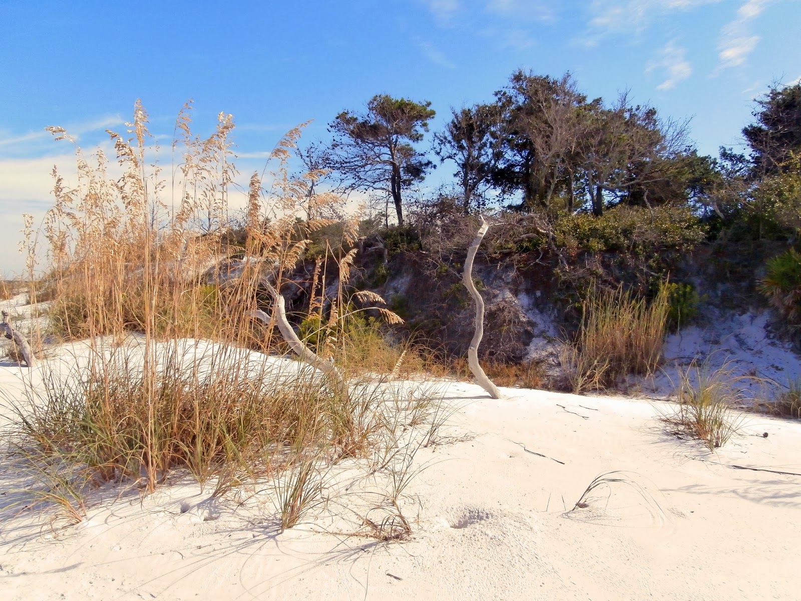 Outdoor South: Shell Island