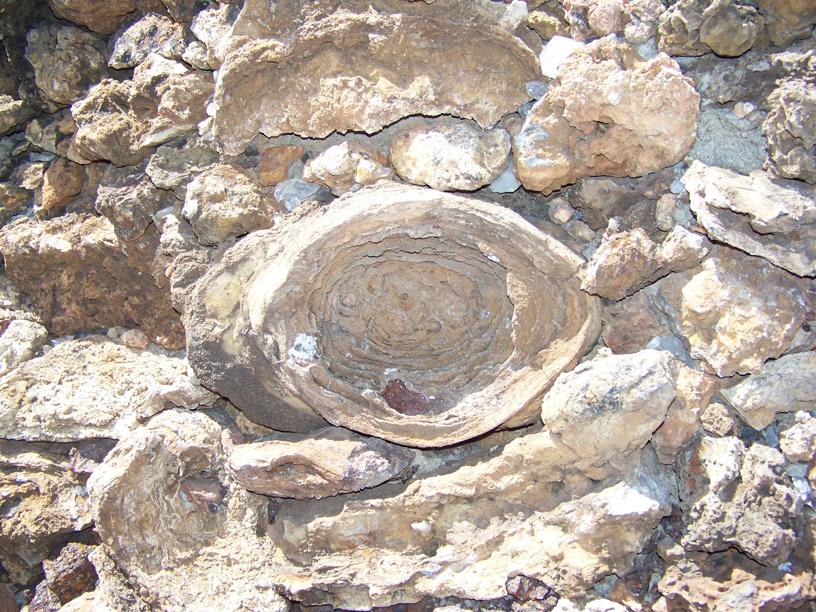 View from the Empty Nest: Grotto of the Redemption