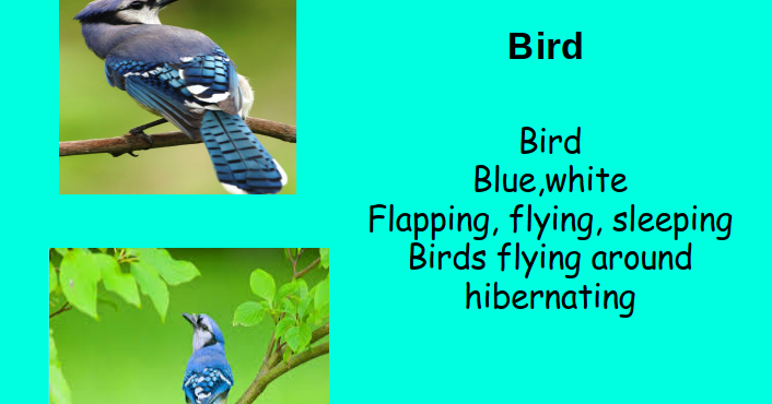 Joanlisi: My cinquain poem about birds