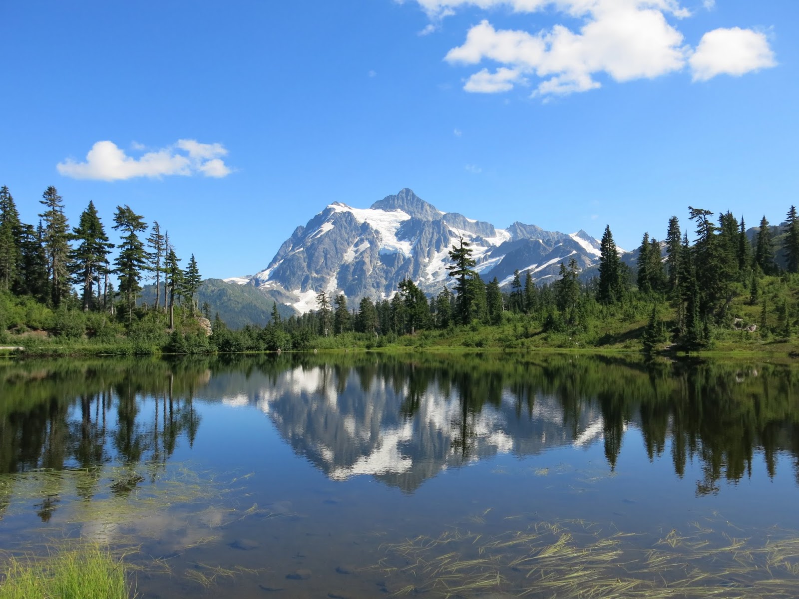 The Chatty Housewife: Mt Baker's Artist Point