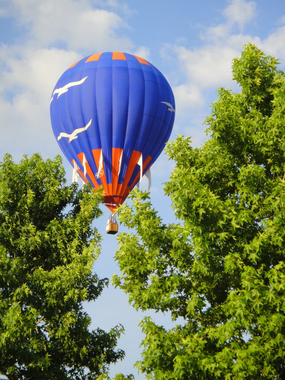Dawn at the Gulf Coast Hot Air Balloon Festival - Passport Diaries