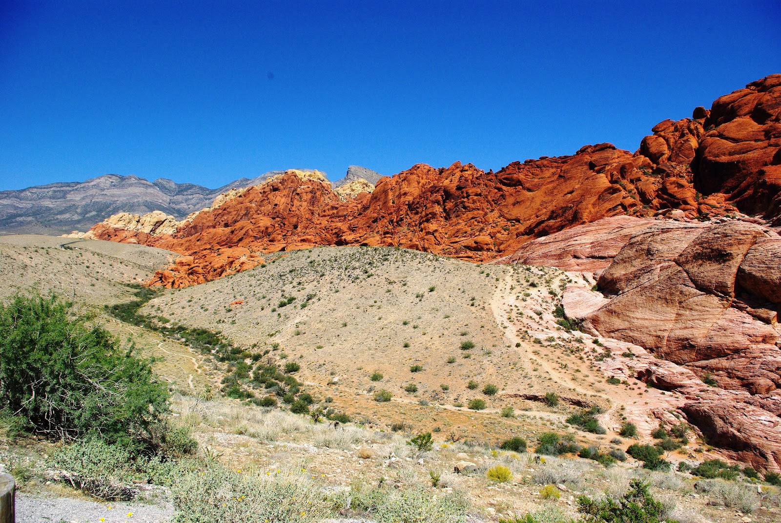 Just A Little Road Trip: Death Valley and Red Rock Conservation Area