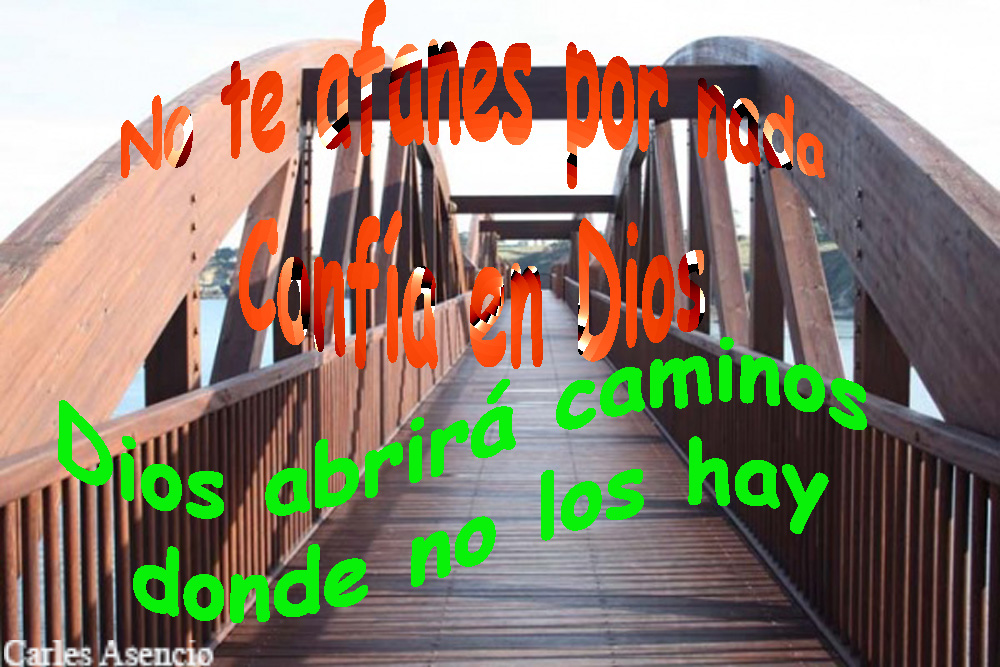 Amigo de Dios. Al servicio de Dios