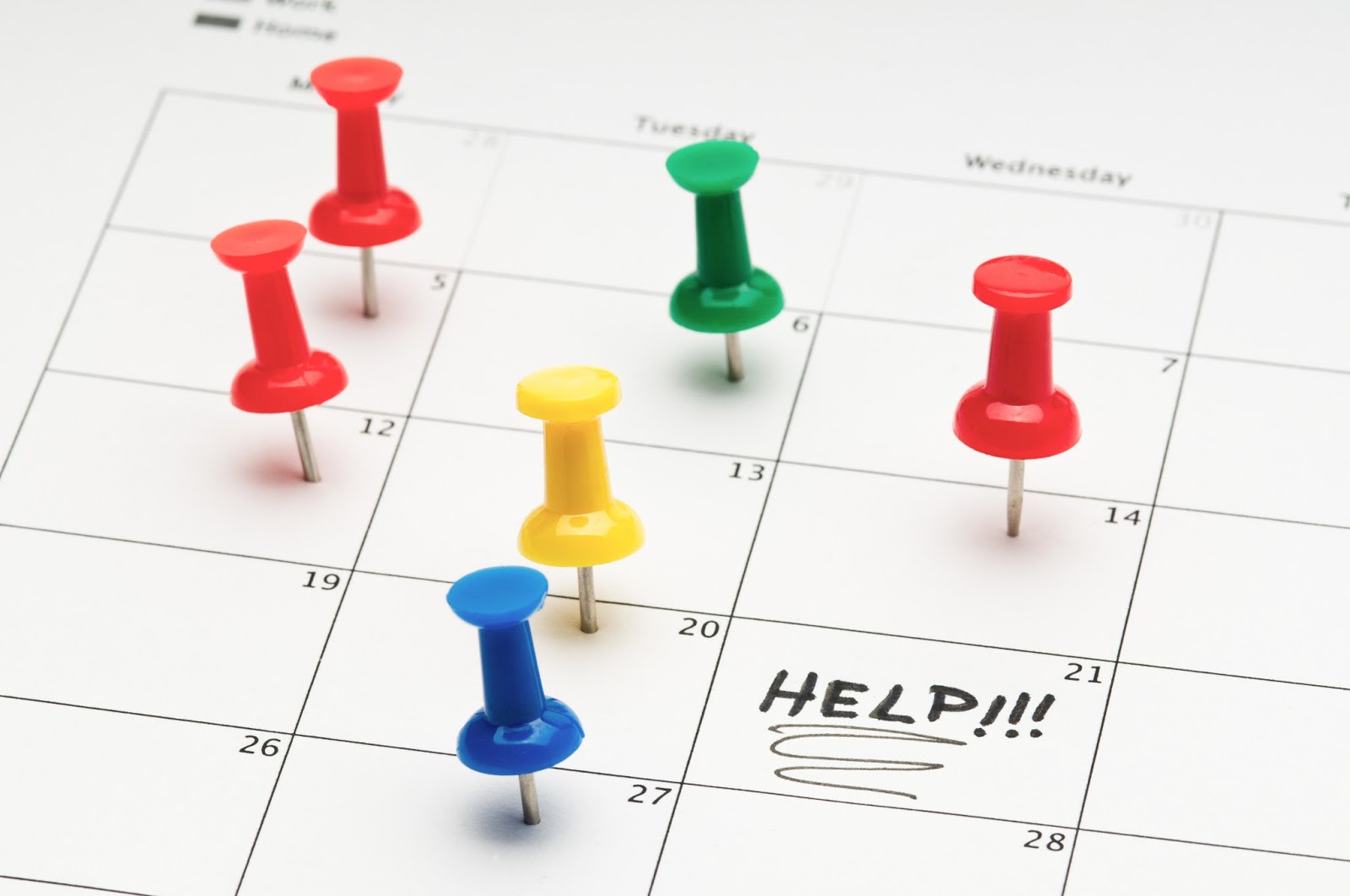 Peace Amidst Hectic Schedules!