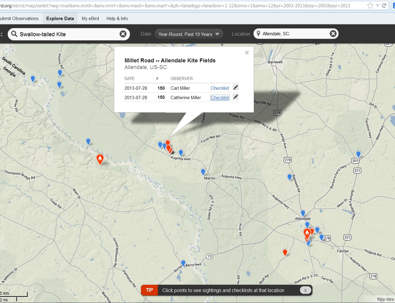 Pluff Mud Perspectives: The Kites of Allendale, South Carolina