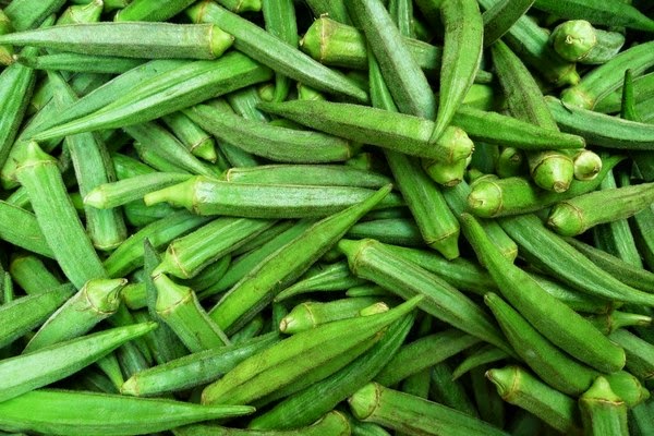 KILIMO BORA CHA BAMIA – Kilimo Tanzania