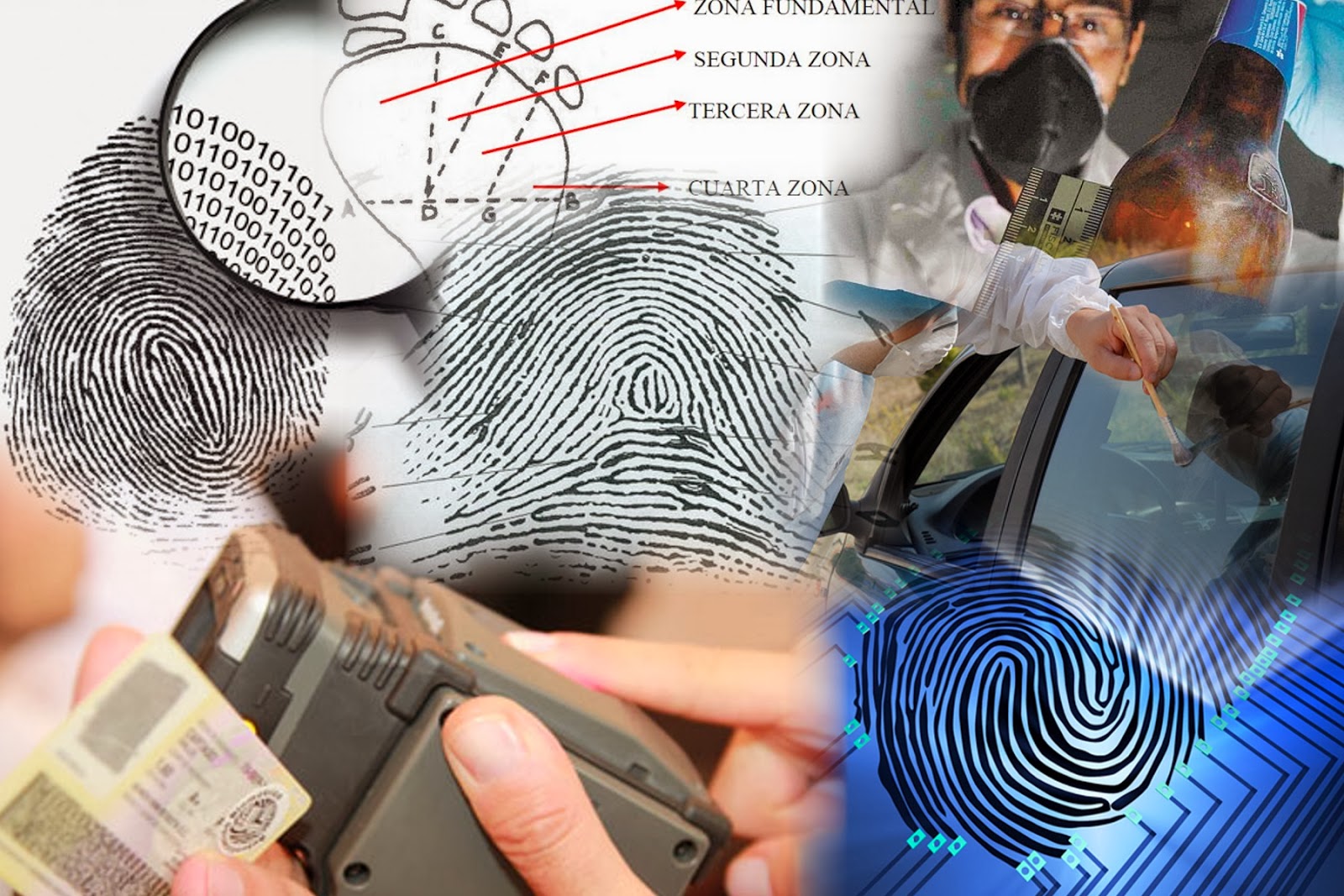 LOFOSCOPIA EN LA INVESTIGACIÓN CRIMINAL: PELMATOSCOPIA