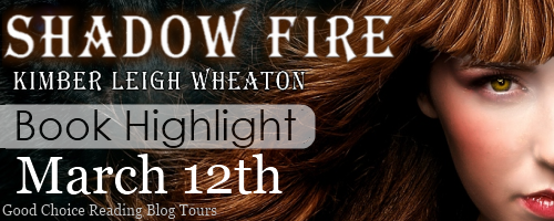 Turning The Pages: *[Book Spotlight & Giveaway] Shadow Fire (The Light ...