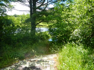 Happy to be Kayaking in Maine: Dyer Long Pond in Jefferson, ME