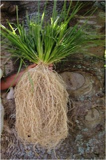 SOCIETY OF AFRICAN EARTH SCIENTISTS : Workshop Notes