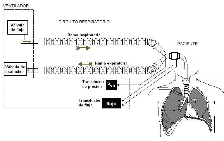 Treatment Equipment: Mechanical Ventilator