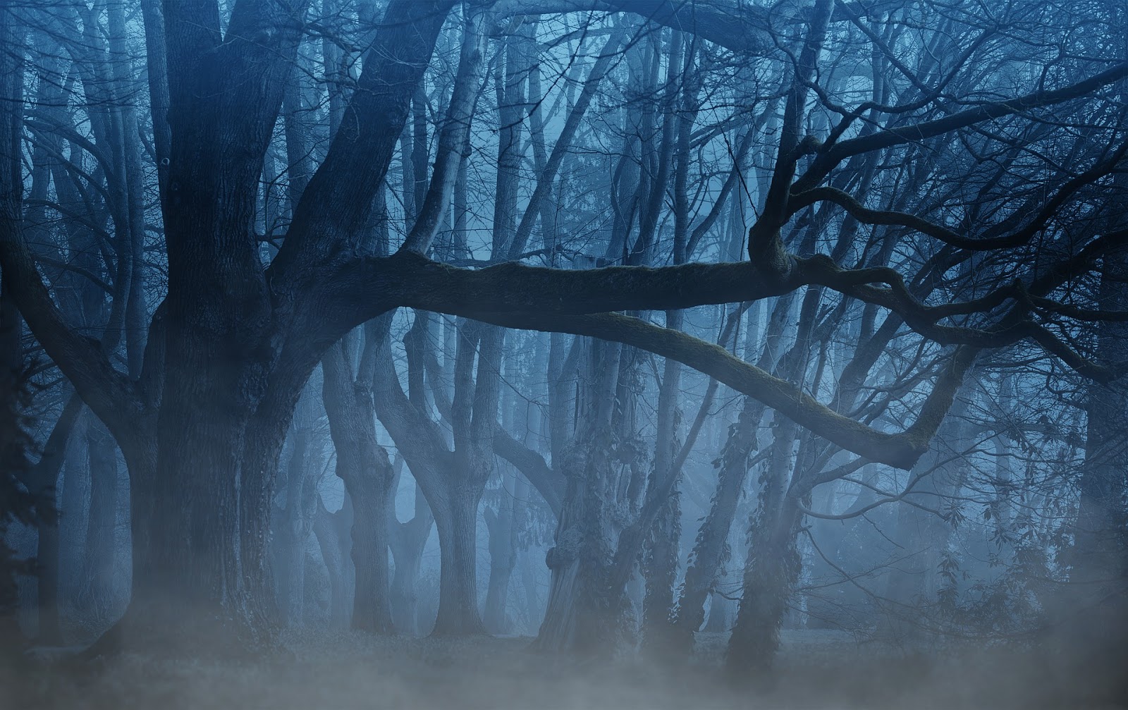 The Whisperer In Darkness H P Lovecraft A Short Story In Hindi Hindi Short Stories the-whisperer-in-darkness-h-p-lovecraft-a-short-story-in-hindi-hindi-short-stories