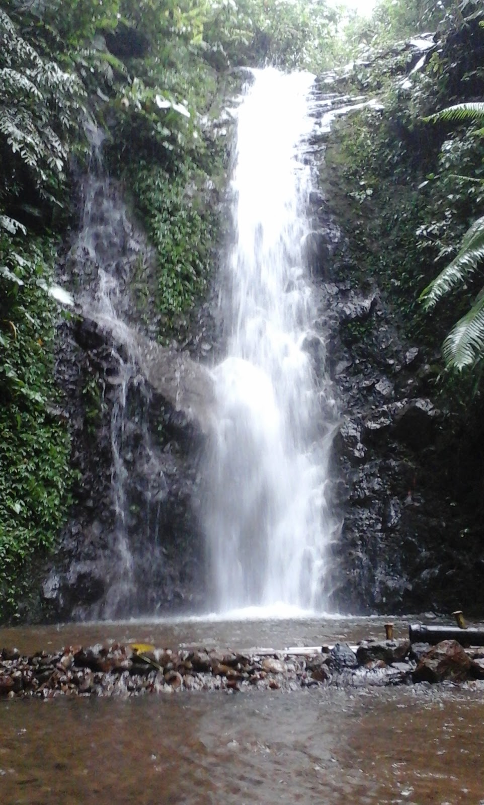WISATA CURUG PUTRI DI GUNUNG PULOSARI Desa Cilentung Kec. Pulosari Kab ...