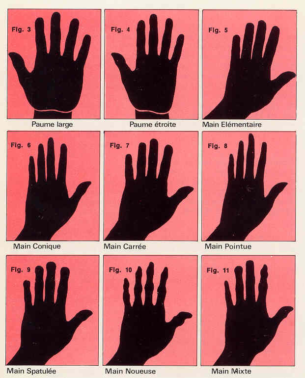 Les types morphologiques de la main et des pieds