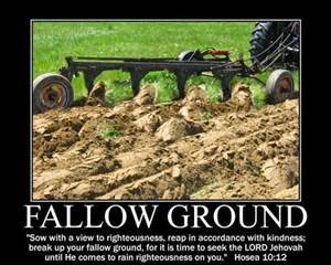 MANUFACTURER'S HANDBOOK: FALLOW GROUND - SOW IN RIGHTEOUSNESS - REAP ...