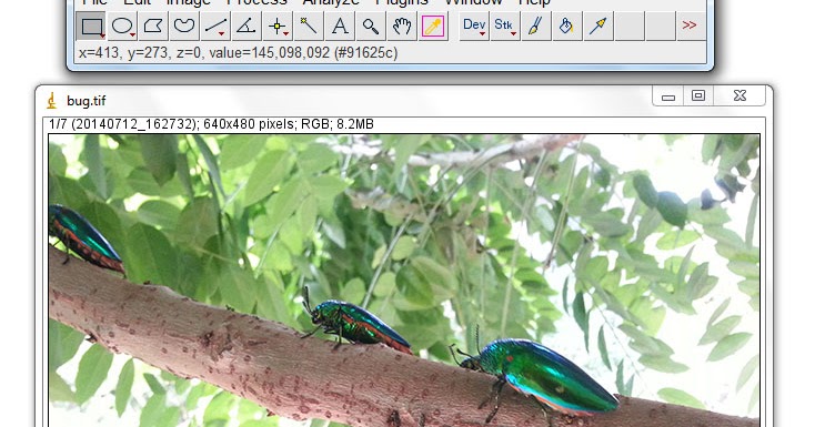 My imageJ: เมนู Image with ImageJ [ตอนที่ 47] Hyperstacks, สร้างแปลง ...