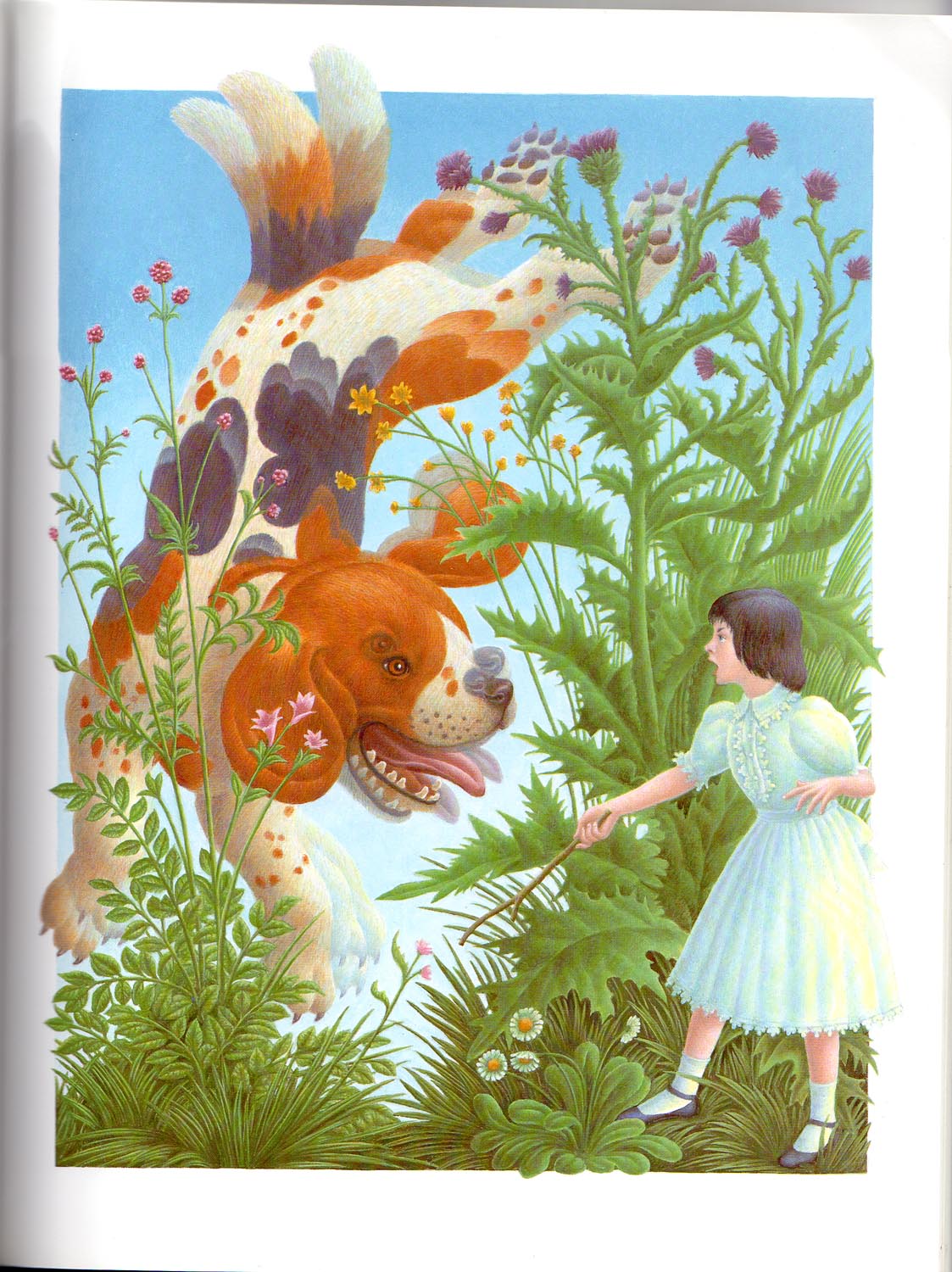 Alice big and small: Lynx editons Alice in Wonderland