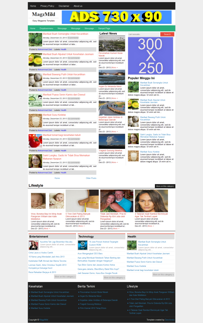 MagMild Responsive Seo Friendly Blogger Template | Nulled Clone Script