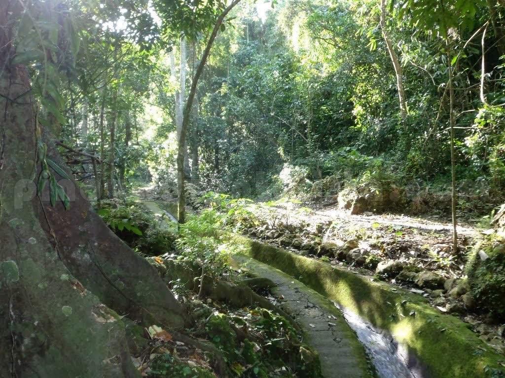Quirino - Chasing Maddela Waterfalls | Blogs, Travel Guides, Things to ...