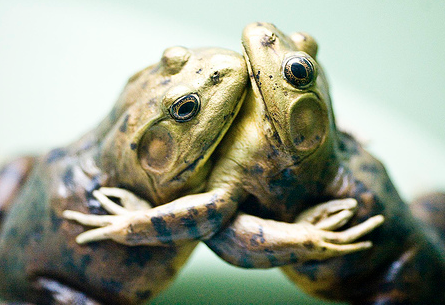 365 Days of Jazz Hands: 365 Days of Jazz Hands - Day 161