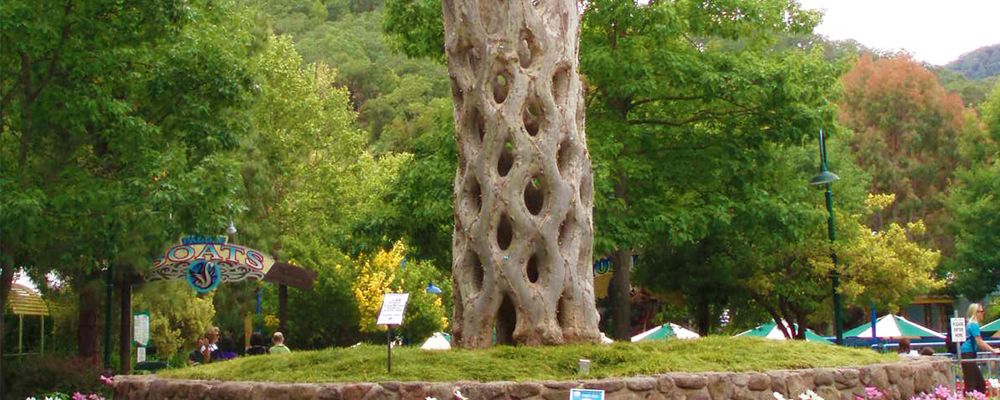 Tips & Tricks For Gilroy Gardens - THE PATRICIOS