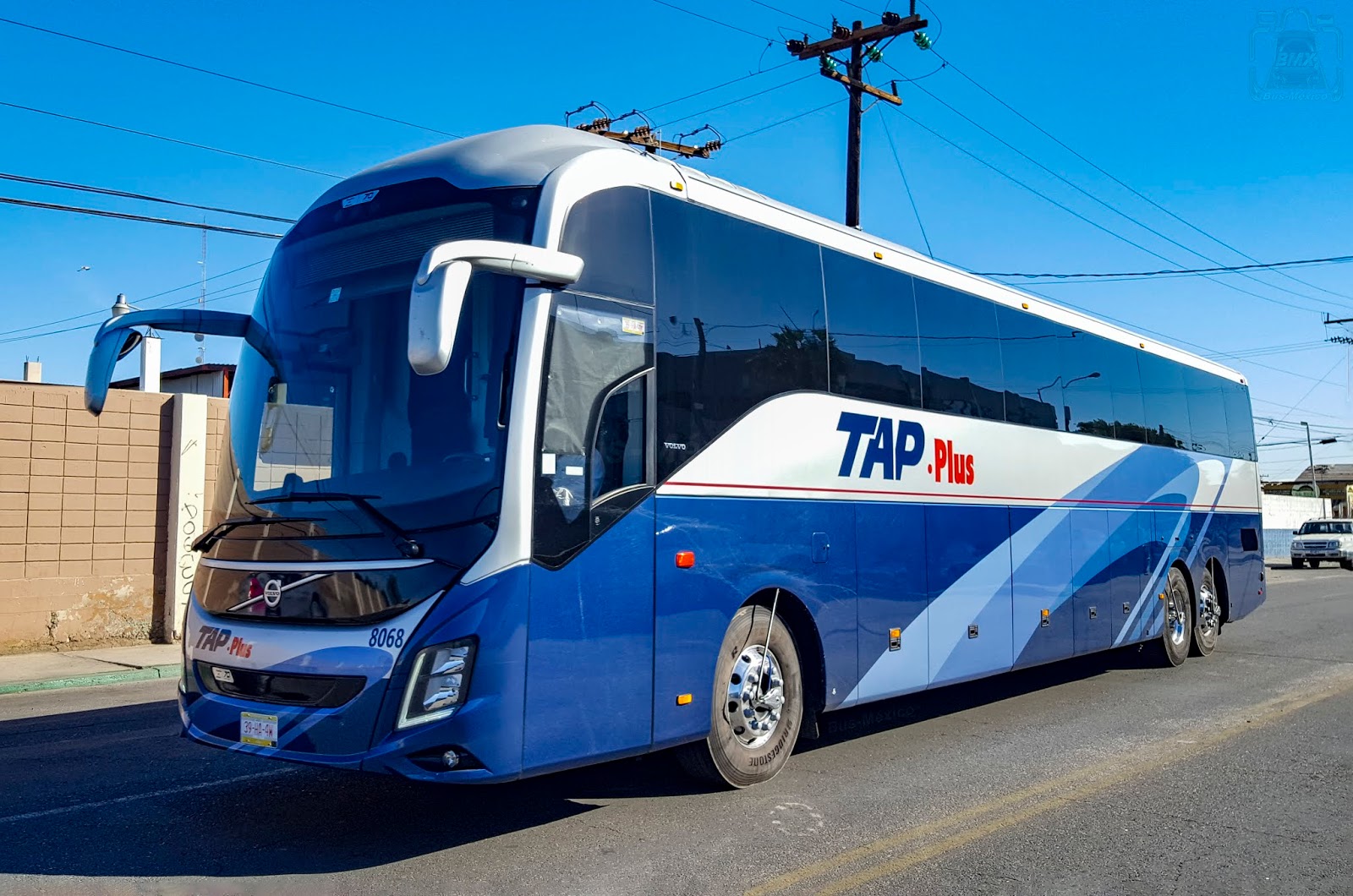 Transportes y Autobuses del Pacífico: TAP Plus - Bus-México
