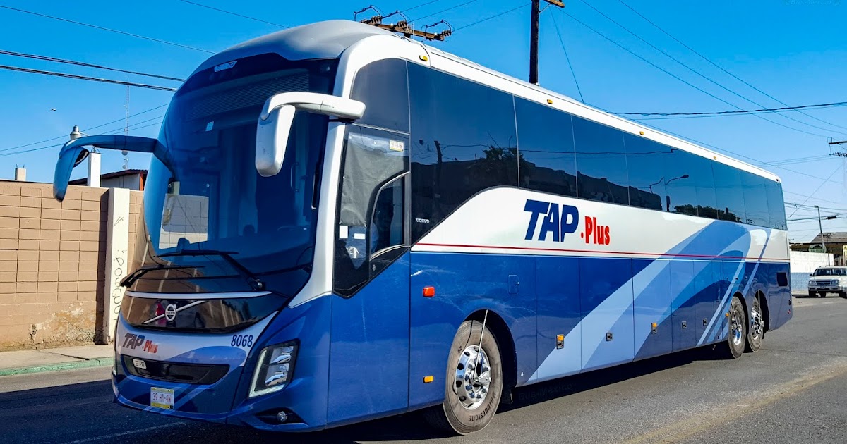 Transportes y Autobuses del Pacífico: TAP Plus - Bus-México