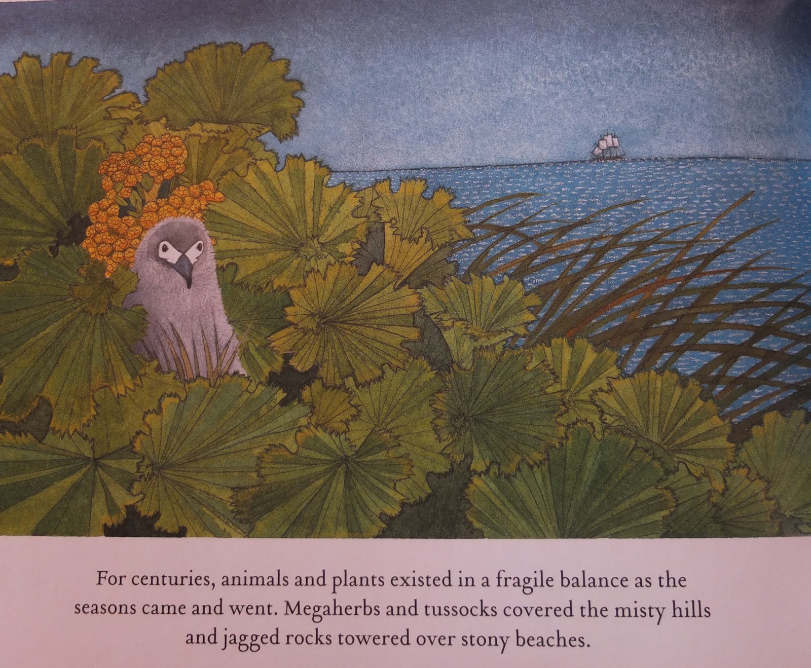 A Strong Belief in Wicker: One Small Island