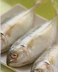 Tips Memilih Ikan Segar | Koki Cantik