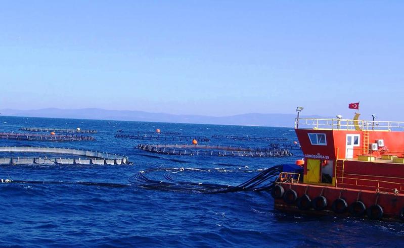 The Aquaculturists: Event: Offshore Mariculture programme