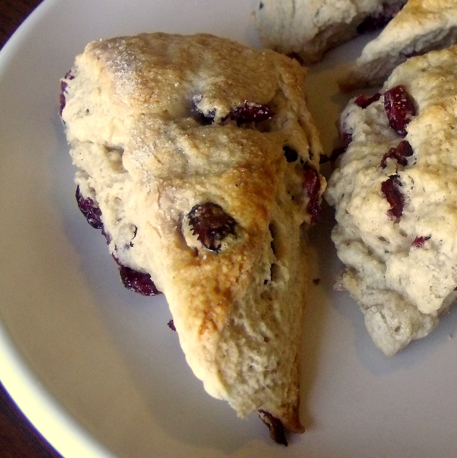 Fun Foods On a Budget!: Sourdough Scones