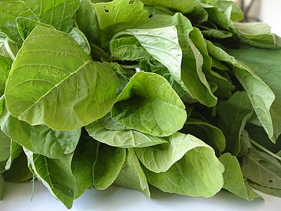 Manfaat Khasiat Sayur Bayam Hijau Dan Bayam Merah Artikel Berita ...