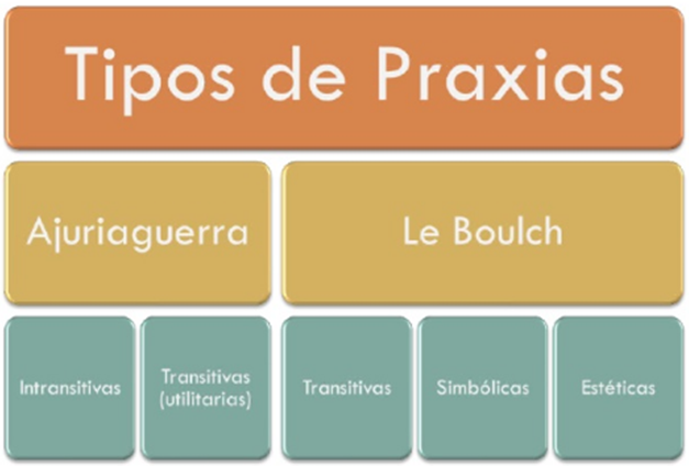 praxia y apraxia: ¿Que son las Praxias?