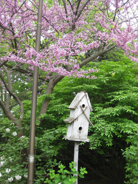 Always, Robins Egg Blue: MOTHER OF INVENTION. . . . TRUDI TEMPLE