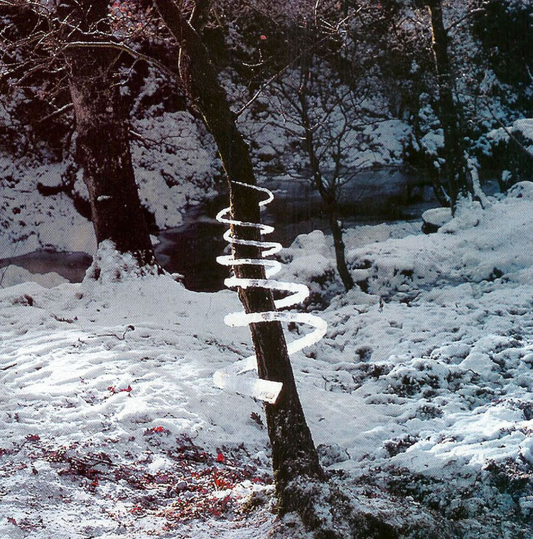 Granny Marigold: Andy Goldsworthy