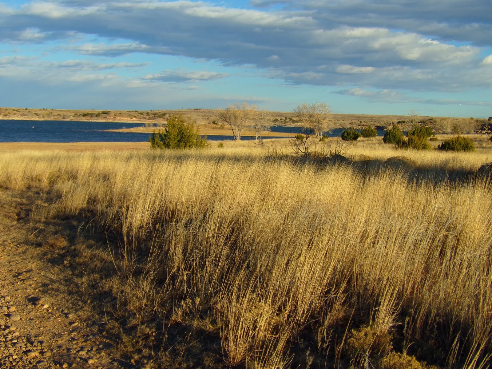 Sumner Lake State Park, Fort Sumner, New Mexico